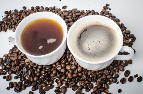 Brewed to Perfection - Chicory Coffee vs. Regular Coffee ...